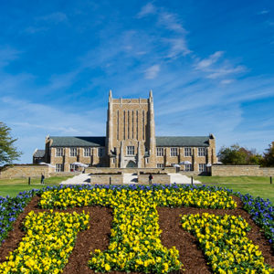 Work Archive | Westwerk